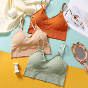 Women's Seamless Bralette with Removable Pads - Home Goods, Clothing ...